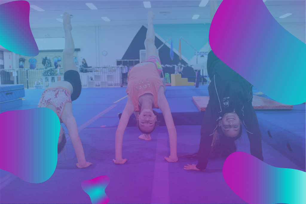 Southern Region MAG & WAG Competition - Rec Alley Gymnastics
